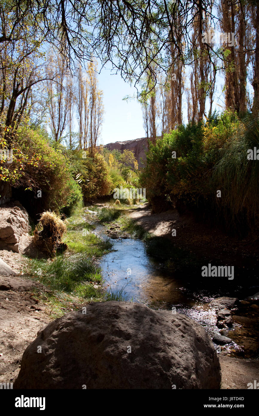 desert, wasteland, american, oasis, chile, tradition, chilean ...