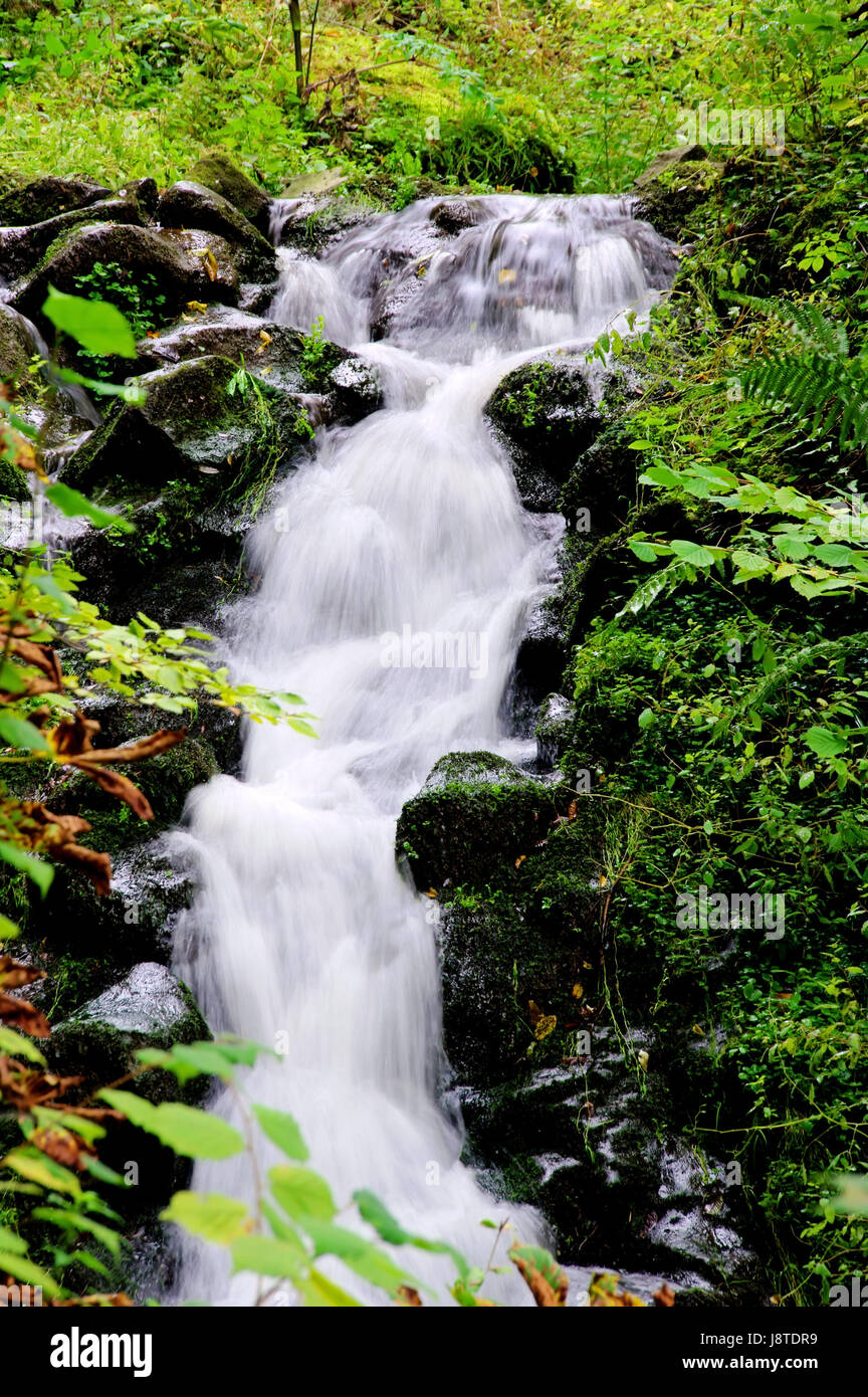 stone, stream, waterfall, spa, mineral spring, medicinal spring, river ...
