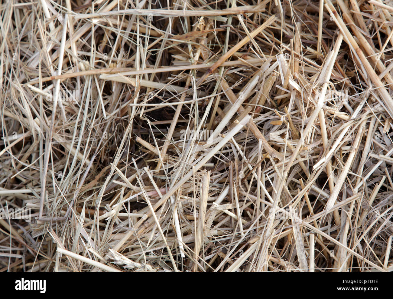 detail, stable, straw, structure, backdrop, background, stall, texture ...