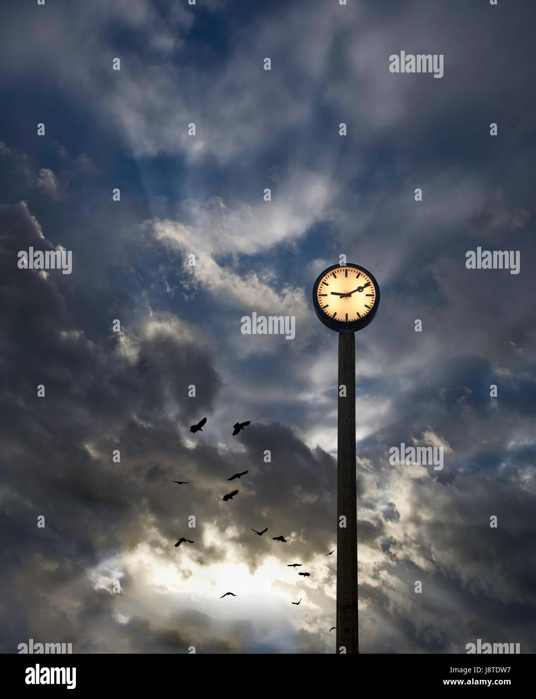 bird, sunbeams, birds, clock, time, crows, firmament, sky, clouds ...