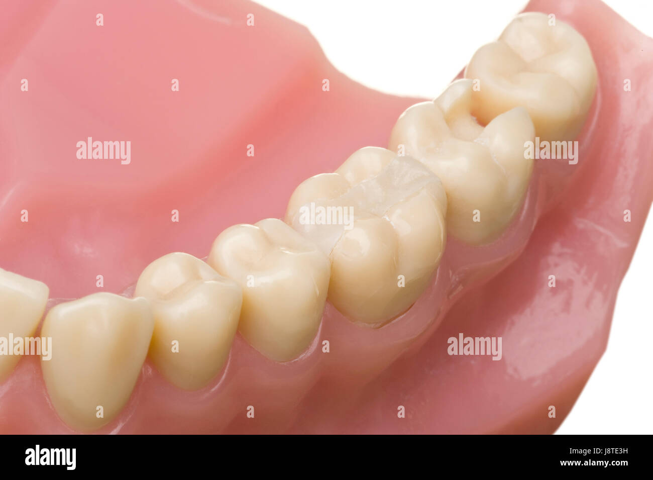 health, teeth, dentist, tooth, hygiene, care of the teeth, personal ...