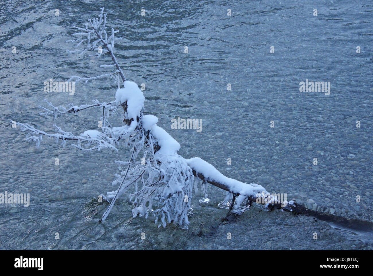 winter, ice, frozen, gaffer, snow, nature, tree, trees, mountains ...