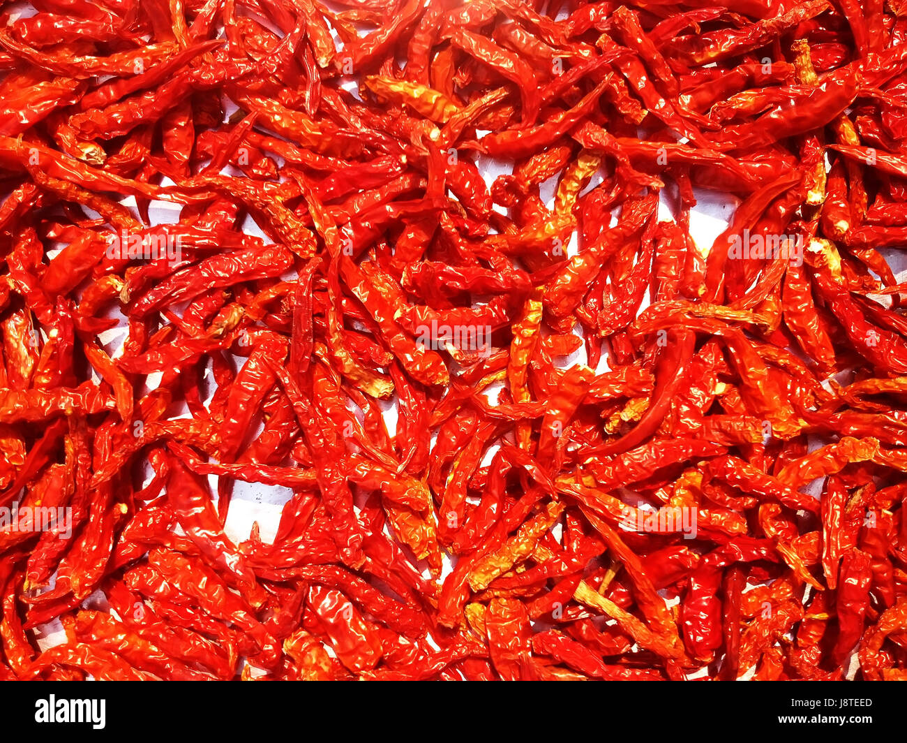 dried red chili as a texture food background Stock Photo - Alamy