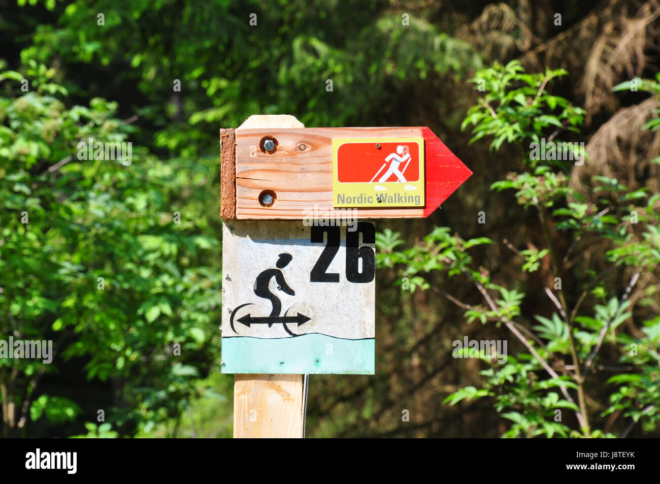 sign, signal, sport, sports, wood, direction, signpost, path, way ...