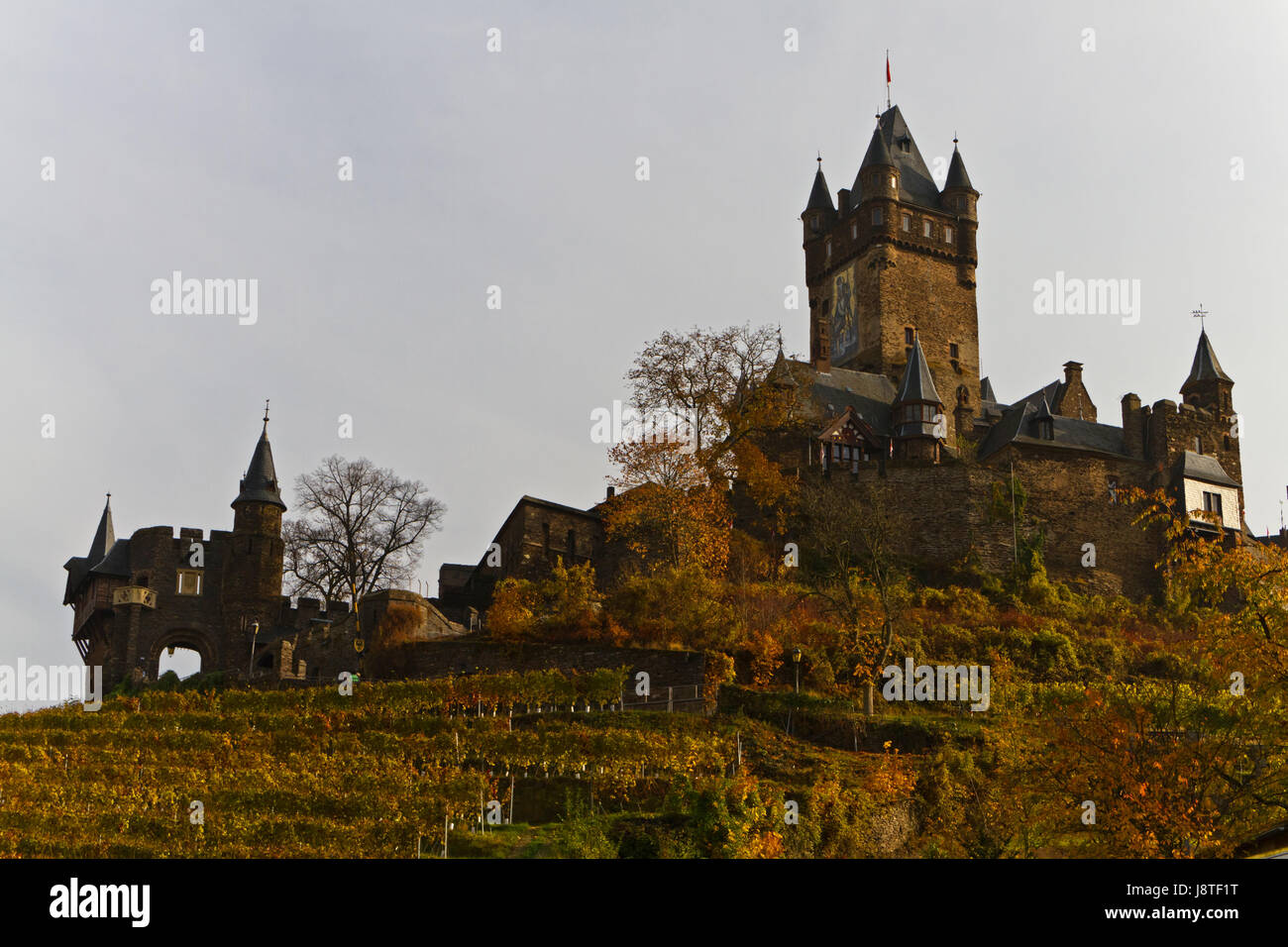 cultivation of wine, mosel, castle wall, chateau, castle, blue, tower ...
