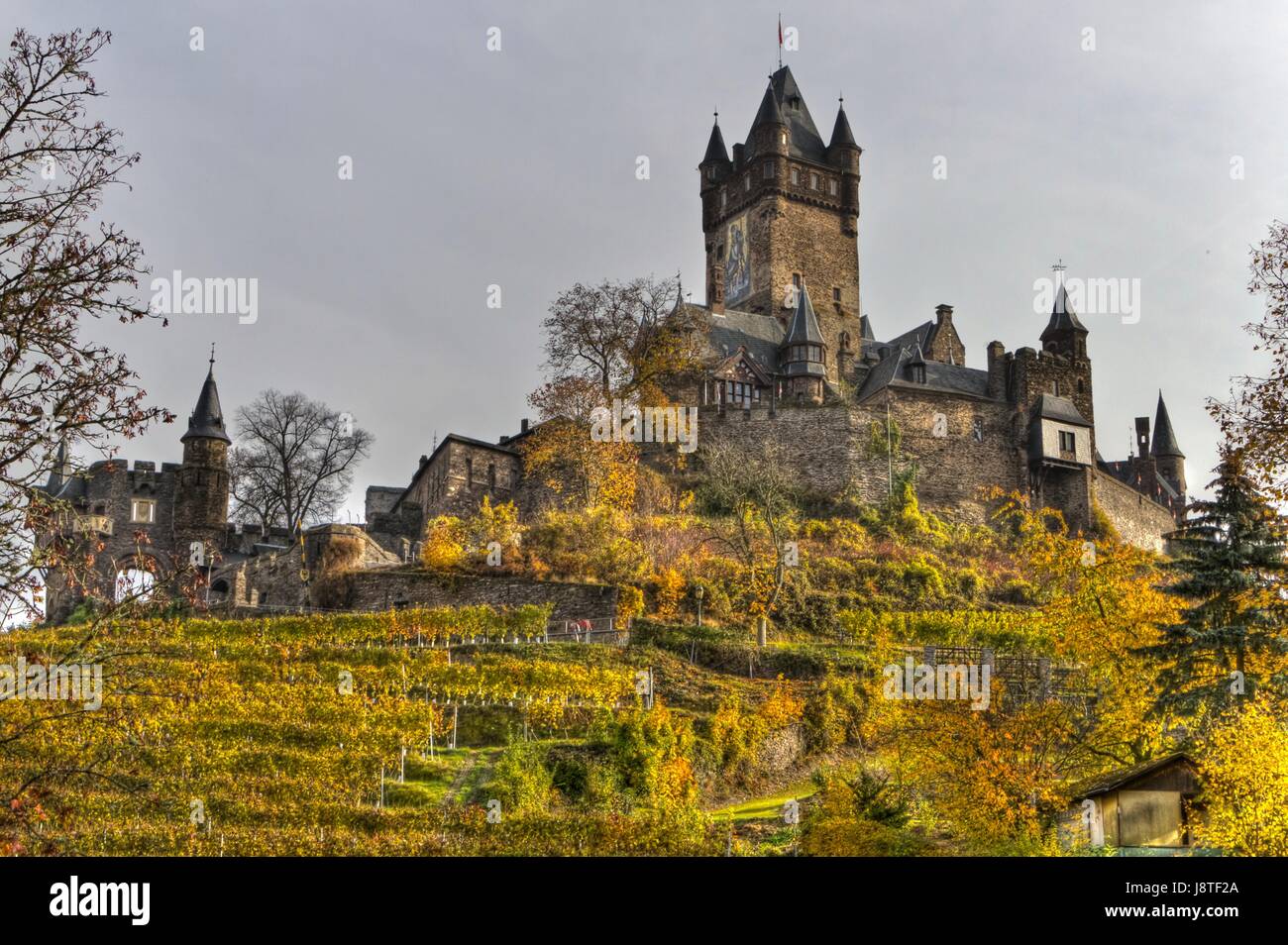 cultivation of wine, mosel, castle wall, chateau, castle, blue, tower ...