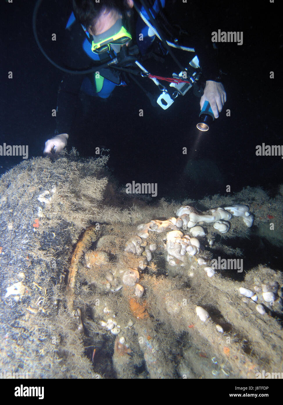 water, mediterranean, salt water, sea, ocean, chain, underwater, rust ...