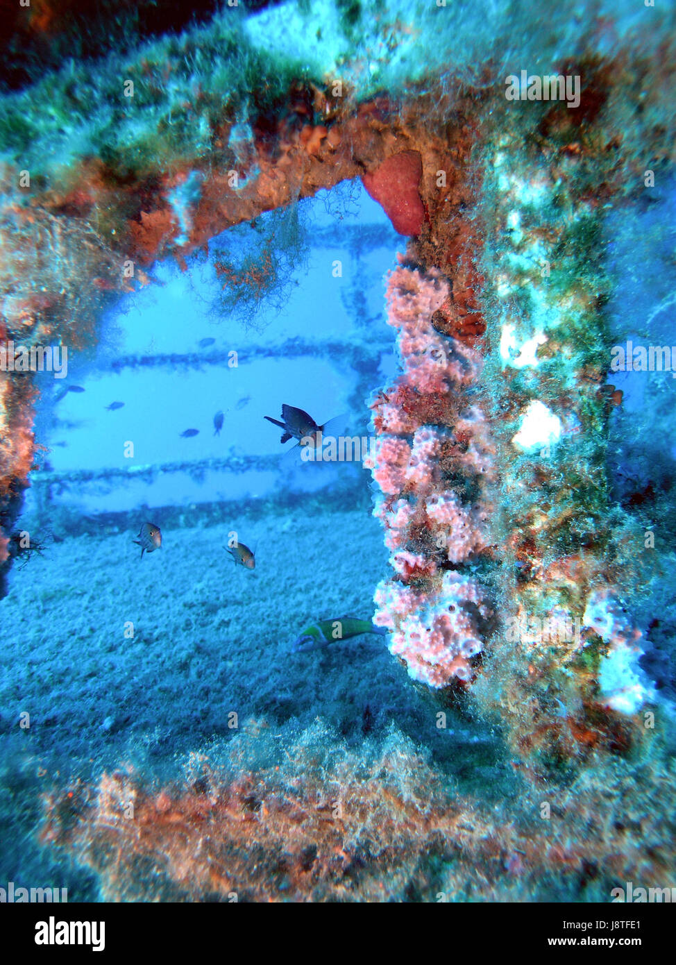 water, mediterranean, salt water, sea, ocean, chain, underwater, rust ...