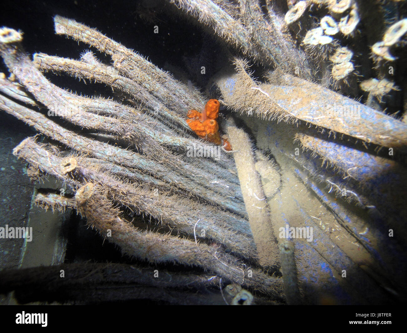 water, mediterranean, salt water, sea, ocean, chain, underwater, rust ...