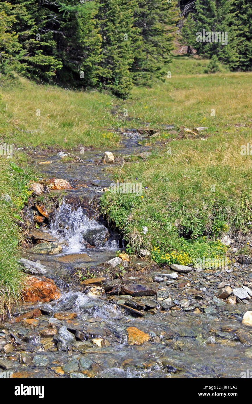 Fliegewsser hi-res stock photography and images - Alamy