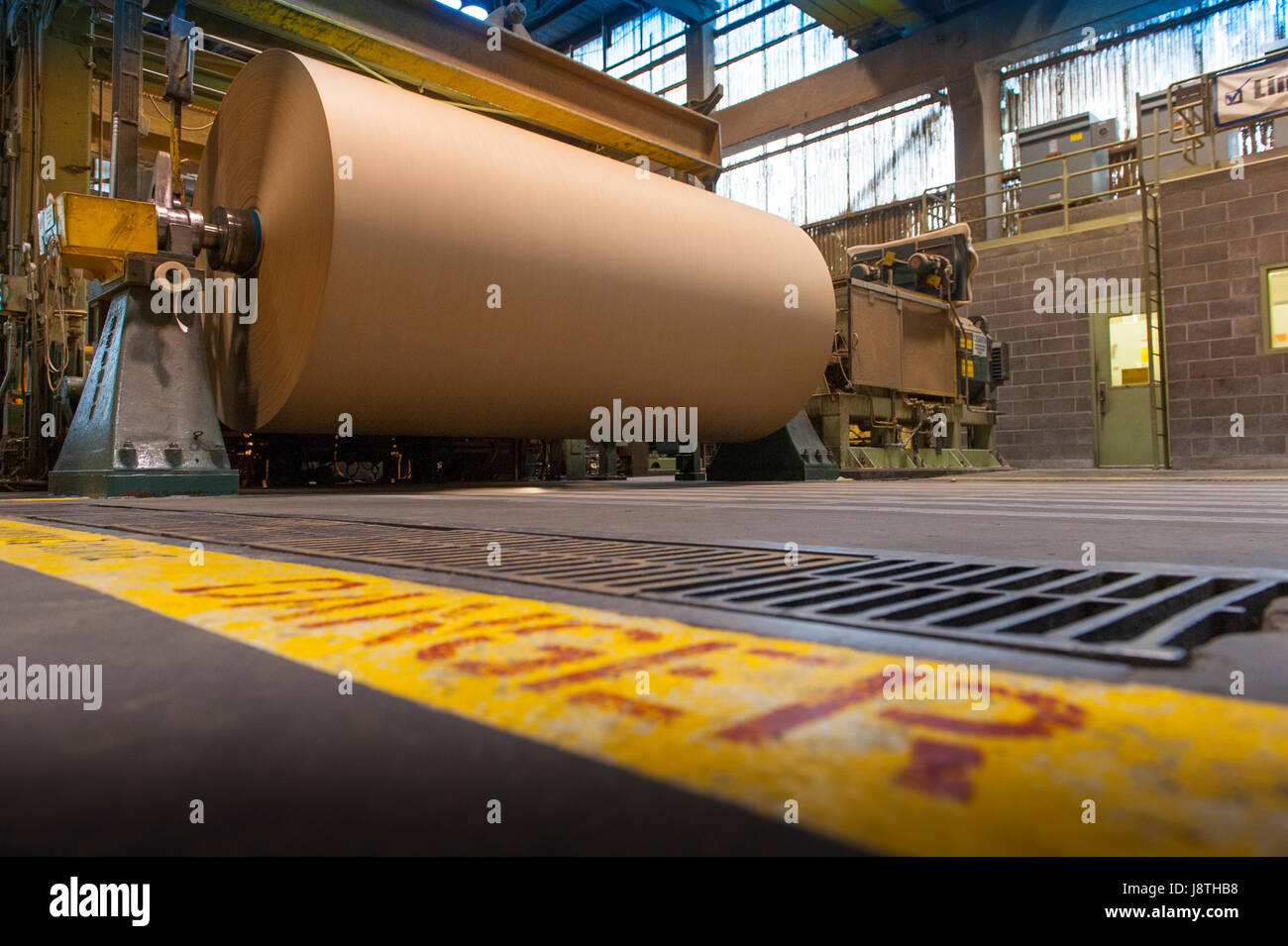 Wood chip paper rolls hi-res stock photography and images - Alamy