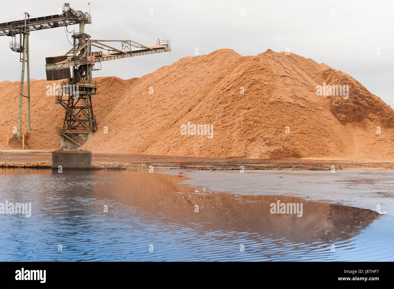 Paper mill operations in the American Pacific North West. Wood chip ...