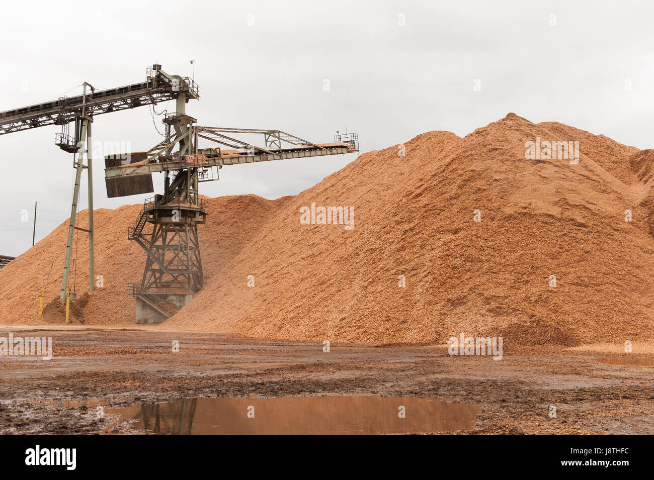 Wood Chip Pile Stock Photos & Wood Chip Pile Stock Images - Alamy