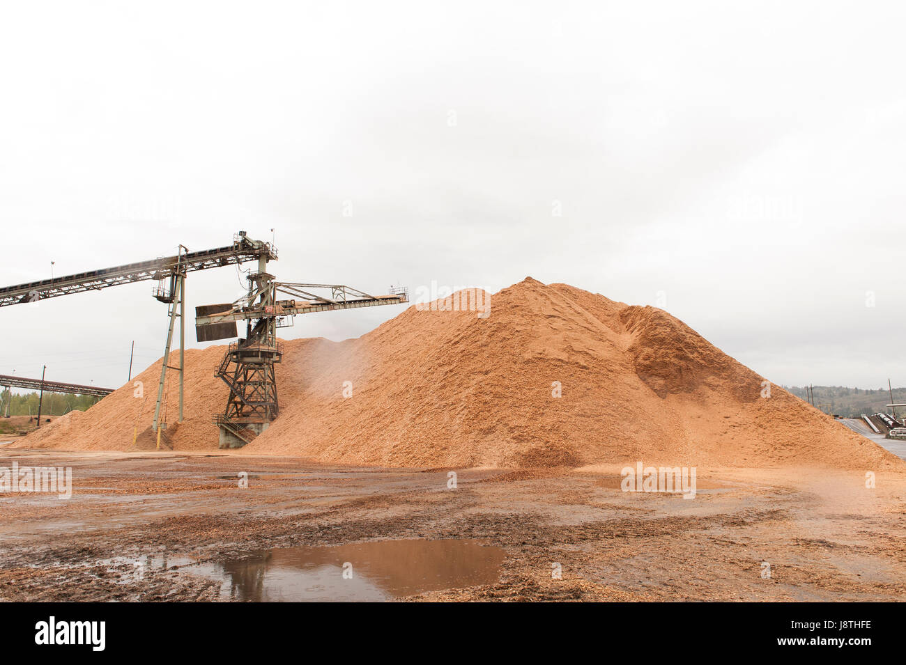 Paper making process hi-res stock photography and images - Alamy