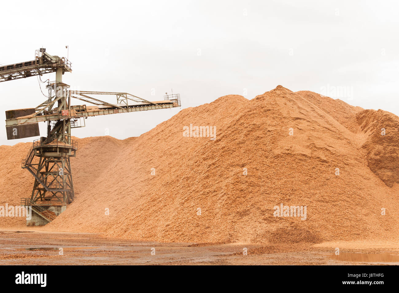 Wood chip pile hi-res stock photography and images - Alamy