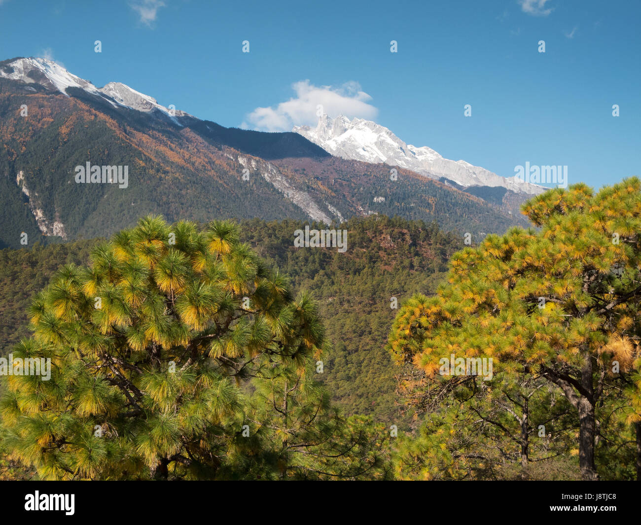 haba snow mountain,yunnan,china Stock Photo - Alamy