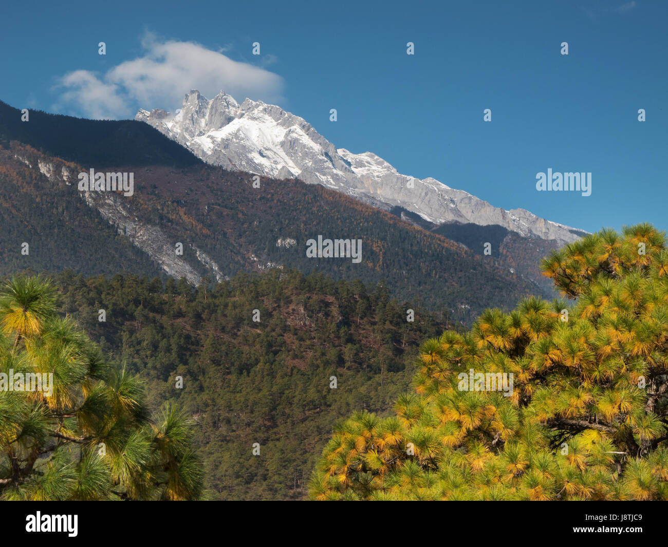 haba snow mountain,yunnan,china Stock Photo - Alamy