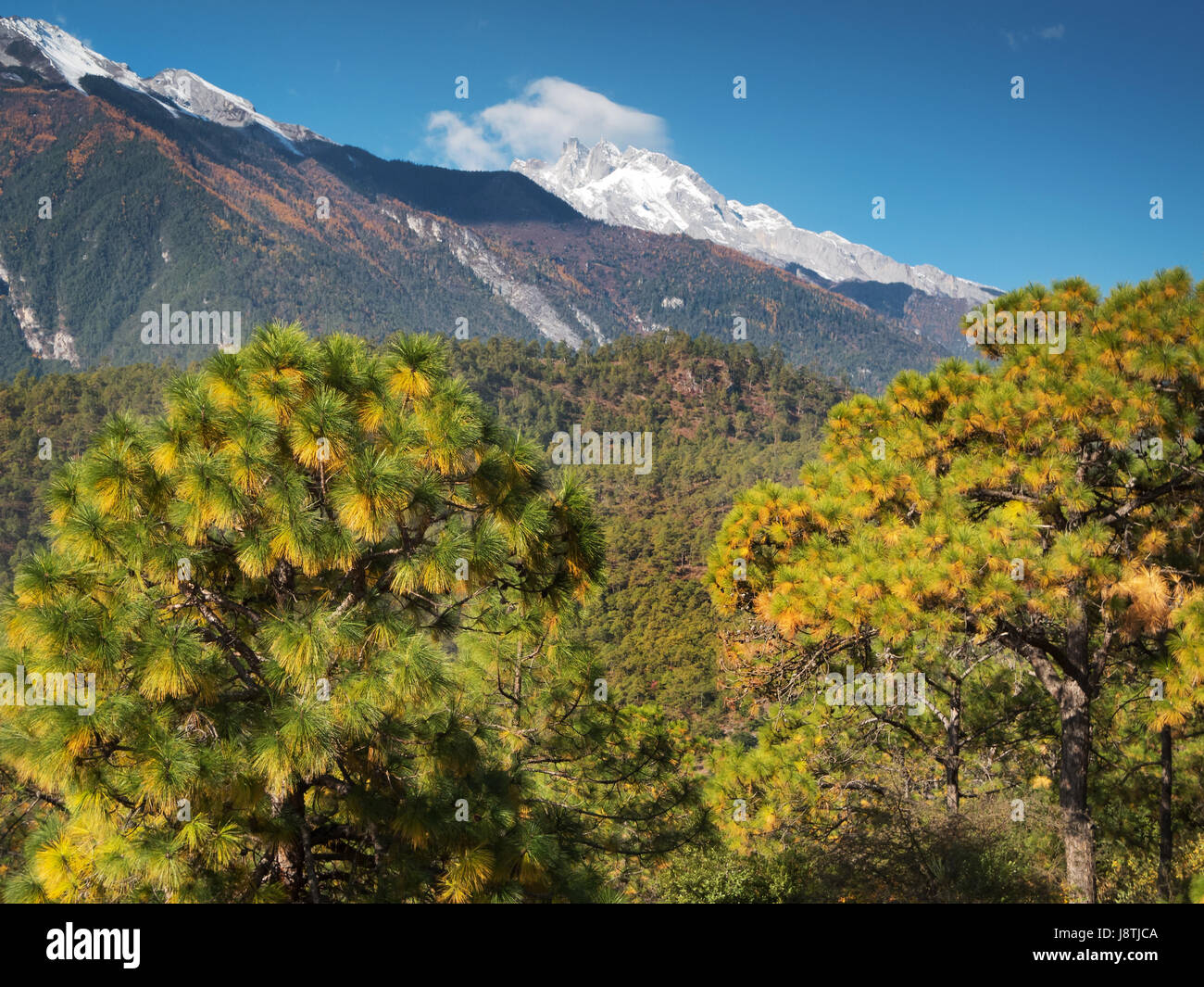 haba snow mountain,yunnan,china Stock Photo - Alamy