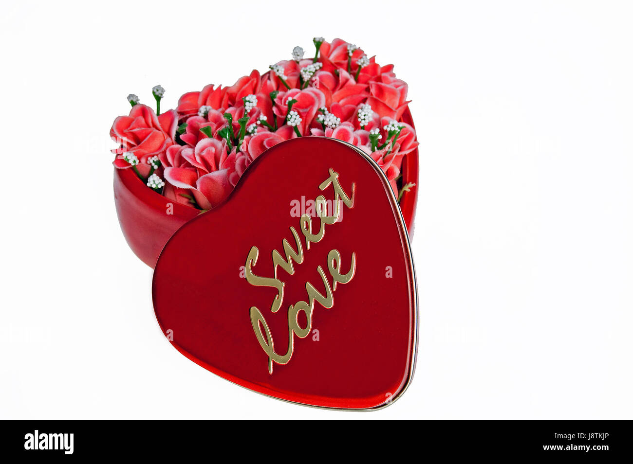 flower, rose, plant, romantic, romance, love, in love, fell in love ...