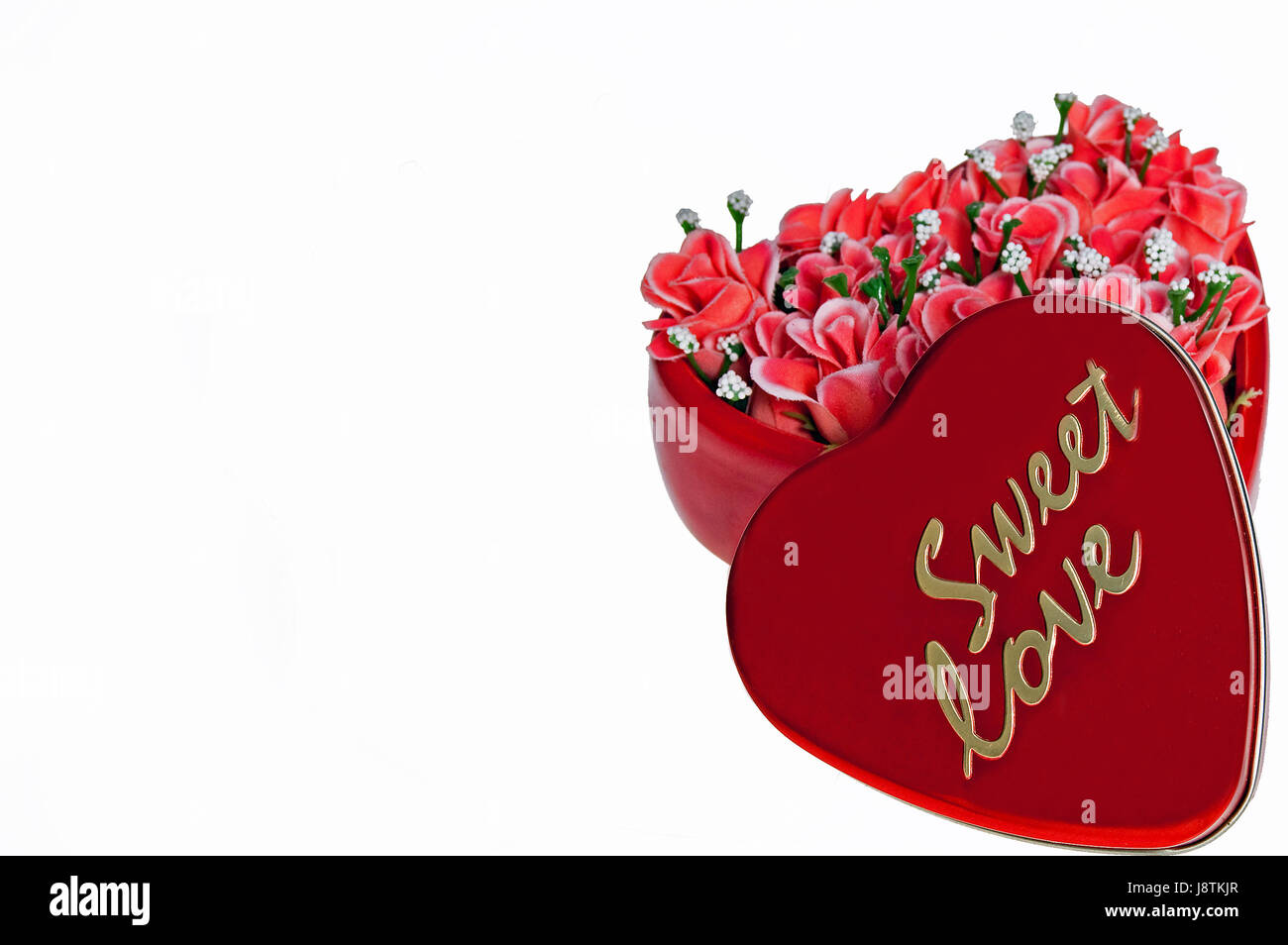 flower, rose, plant, romantic, romance, love, in love, fell in love ...