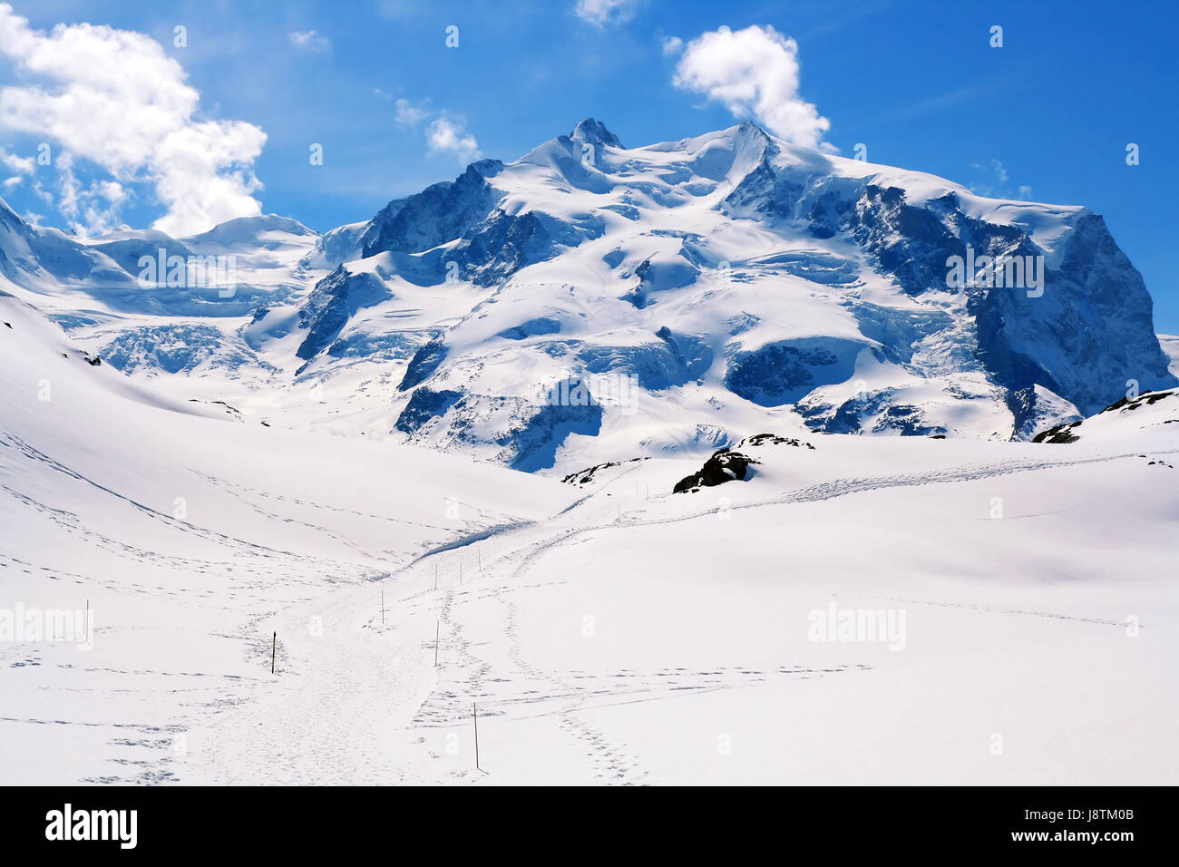 holiday, vacation, holidays, vacations, alp, snow, coke, cocaine ...