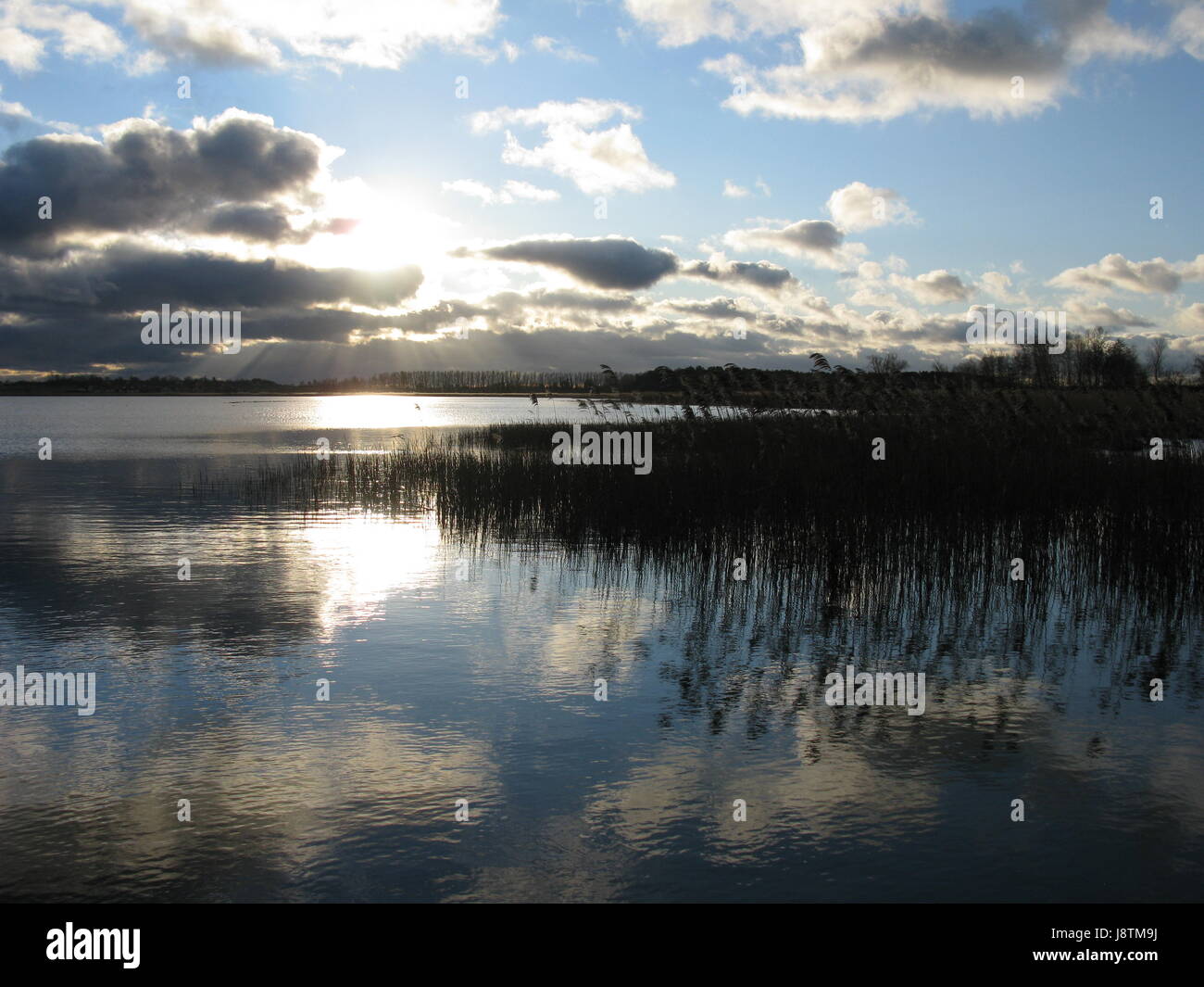 Haff hi-res stock photography and images - Alamy