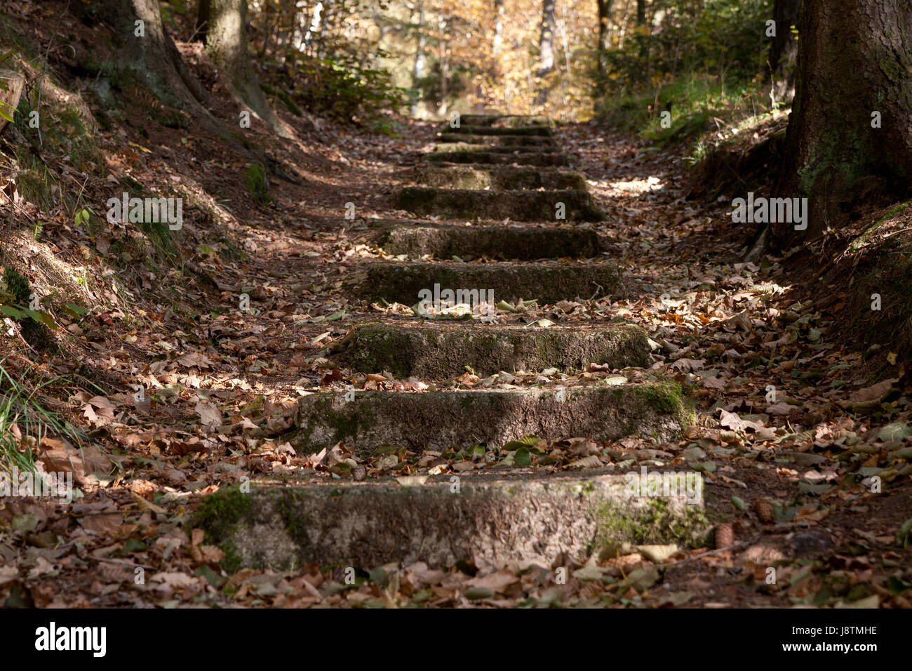 resin, mining, stairs, sightseeing, resin, worth seeing, path, way ...