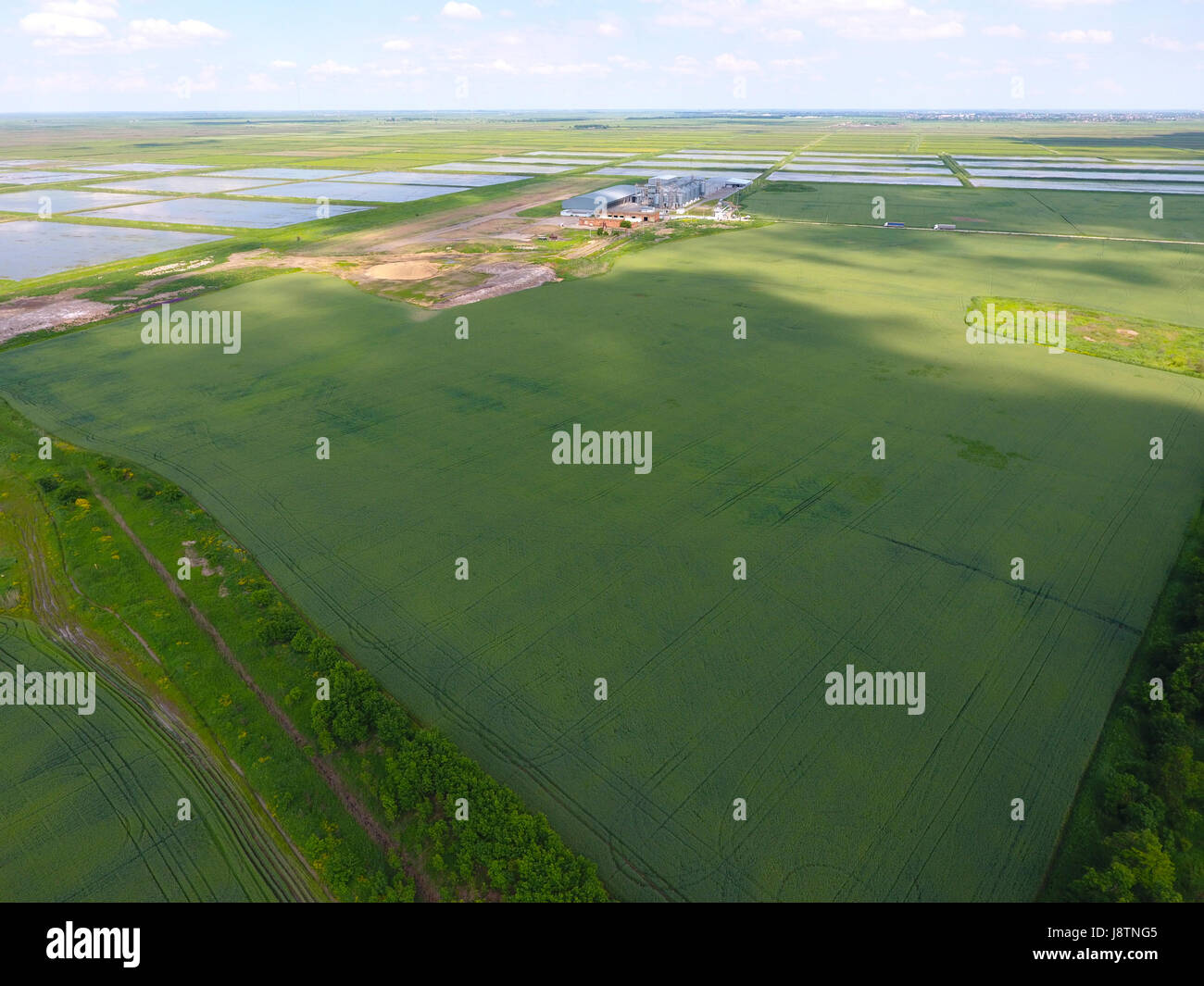 Grain terminal. Plant for the drying and storage of grain. Rice plant ...