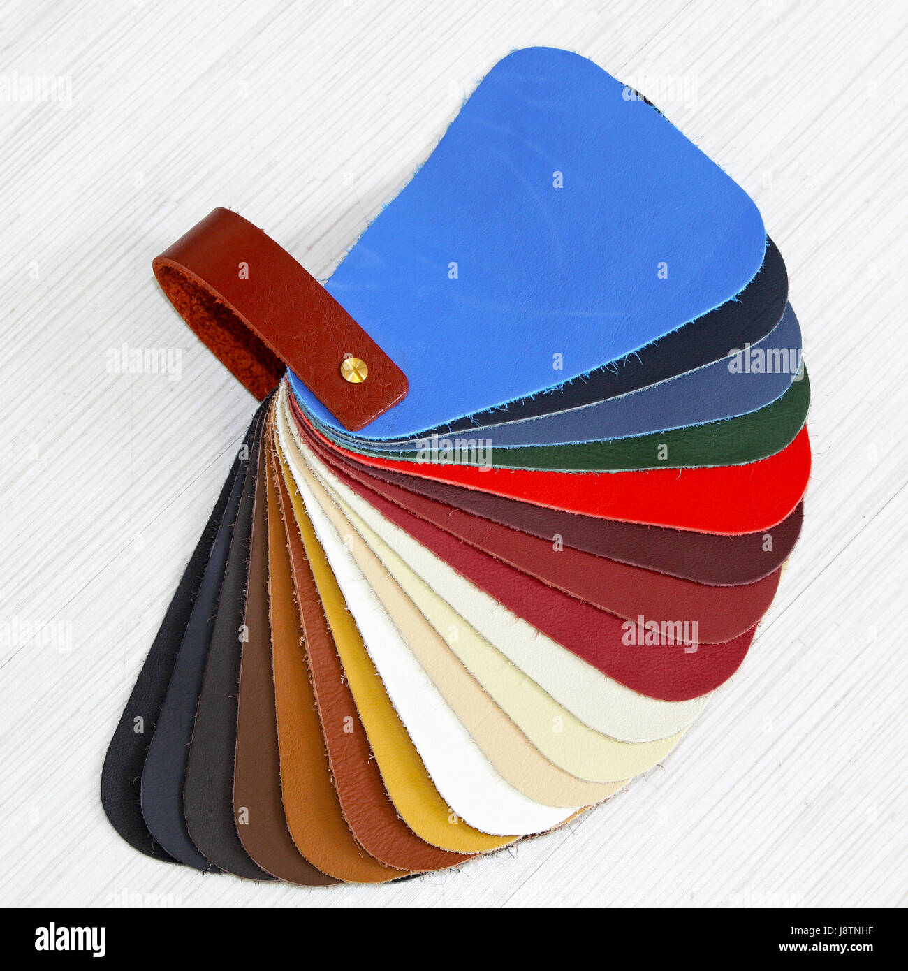 fashion, colour, leather, hide, cards, fashion, colour, industry, skin ...