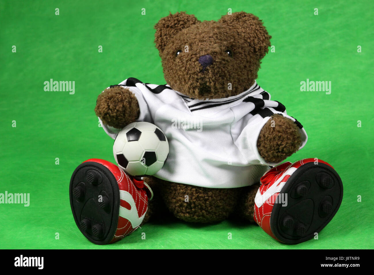 ball, teddy, teddy bear, teddybear, wm, ball, bear, soft, pet, cuddle ...