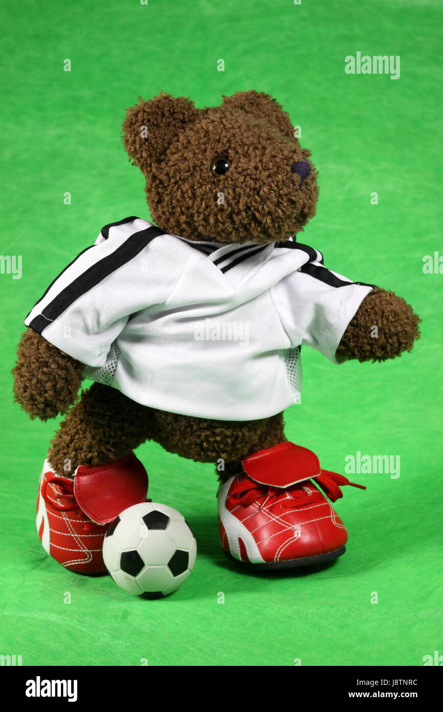 ball, teddy, teddy bear, teddybear, wm, ball, bear, soft, pet, cuddle ...