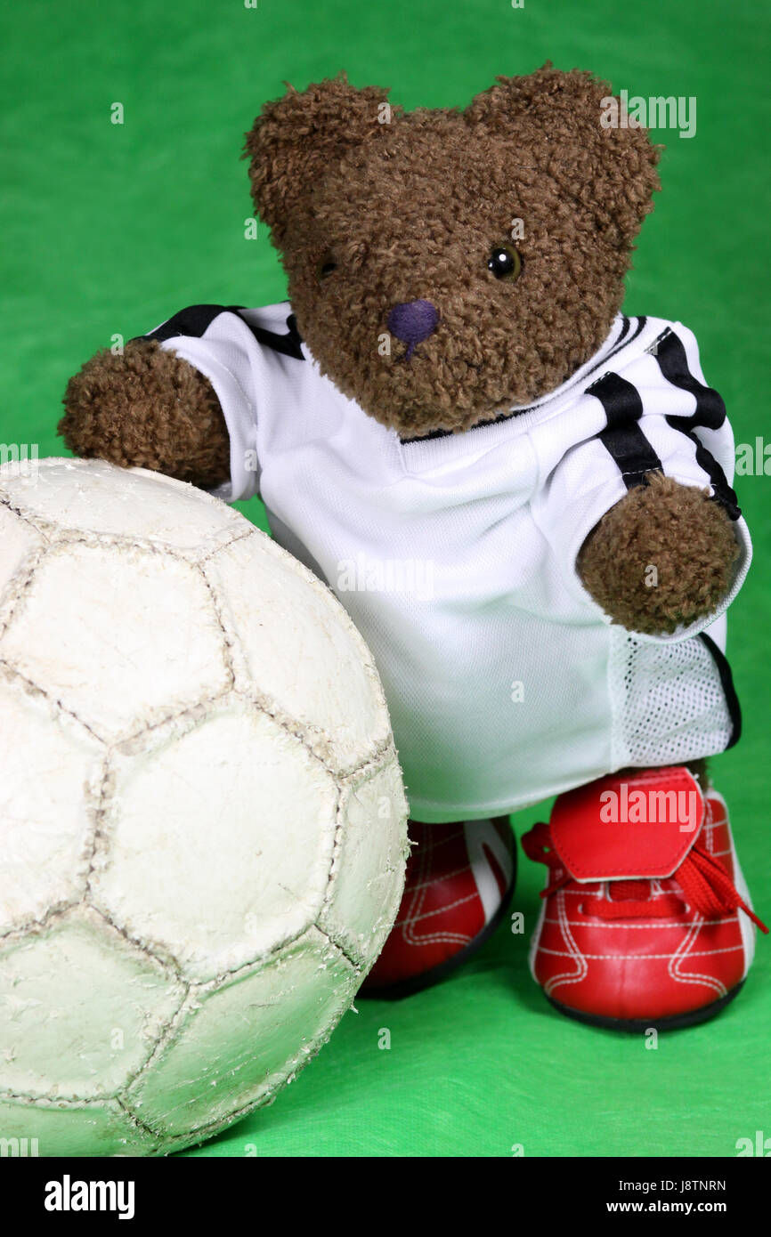 ball, teddy, teddy bear, teddybear, wm, ball, bear, soft, pet, cuddle ...