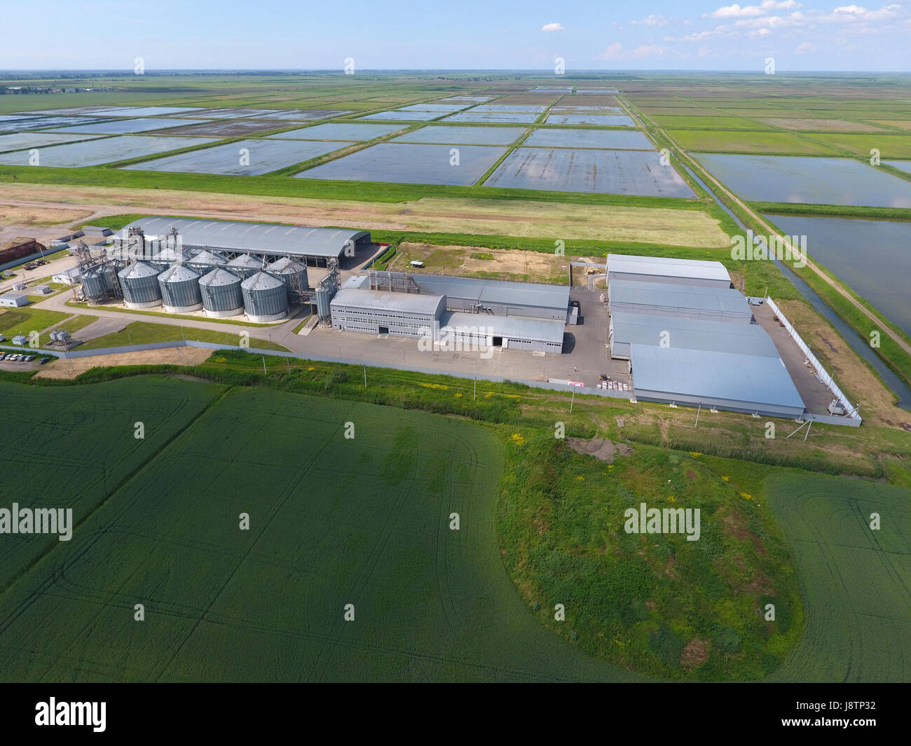Grain terminal. Plant for the drying and storage of grain. Rice plant ...
