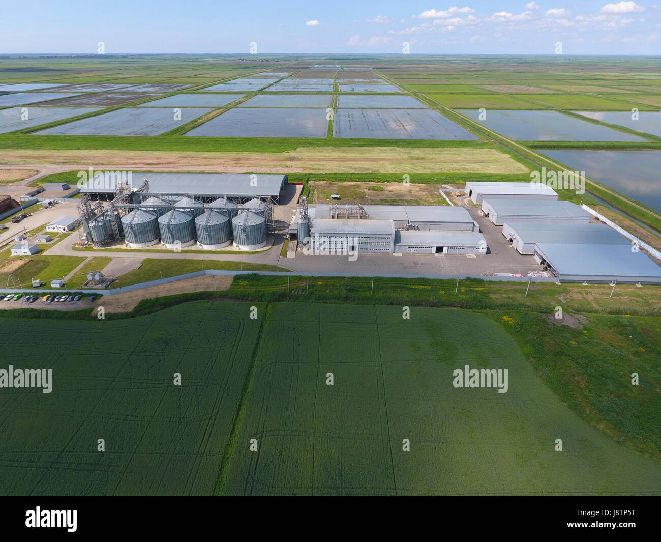 Grain terminal. Plant for the drying and storage of grain. Rice plant ...