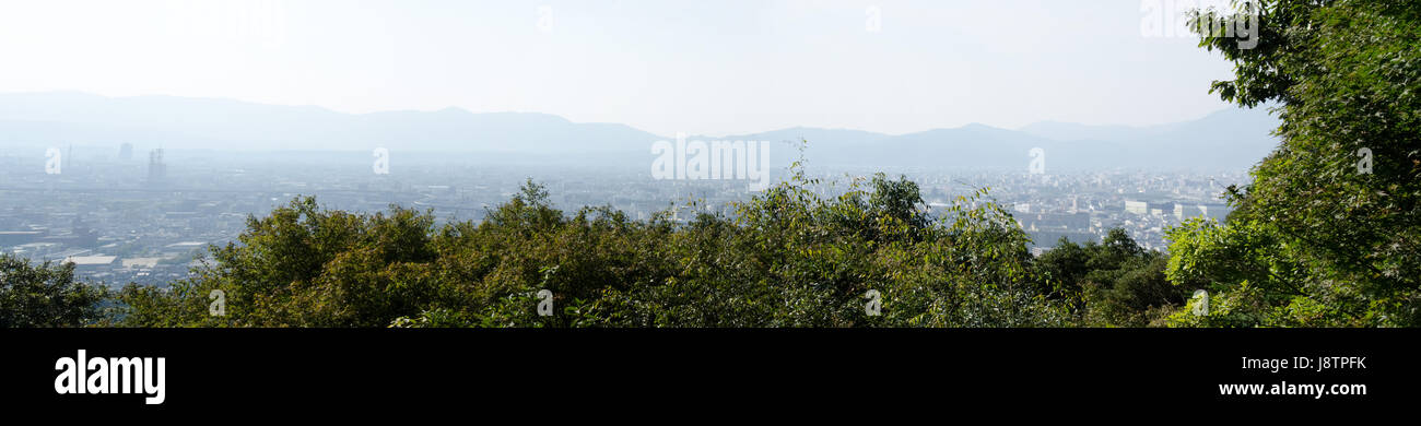 city, town, tree, trees, sight, view, outlook, perspective, vista ...