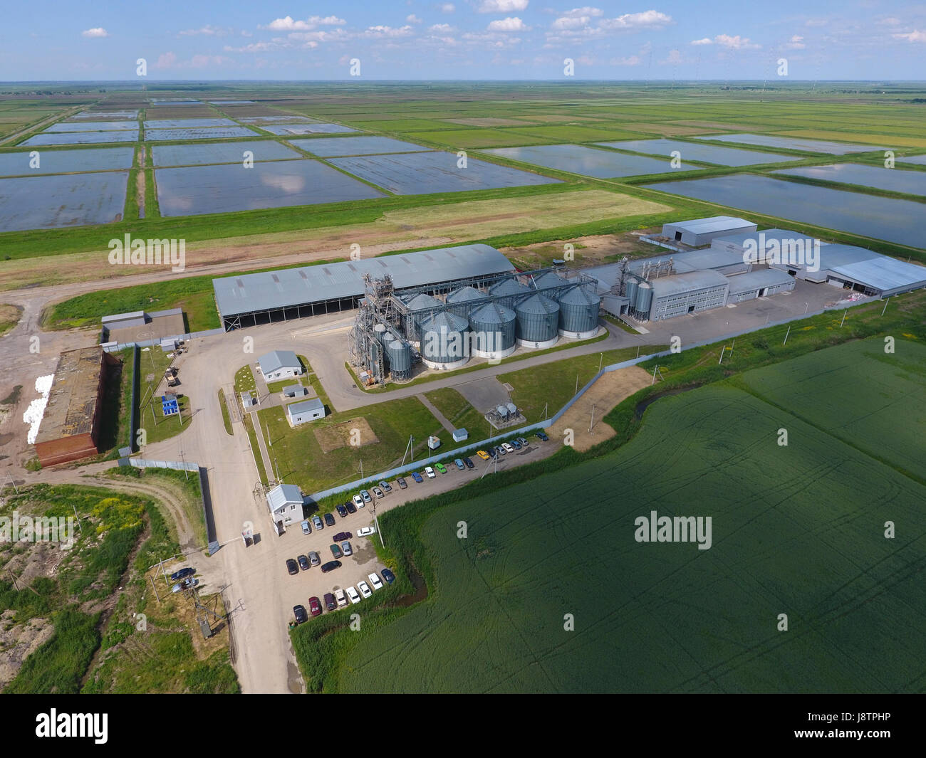 Grain terminal. Plant for the drying and storage of grain. Rice plant ...