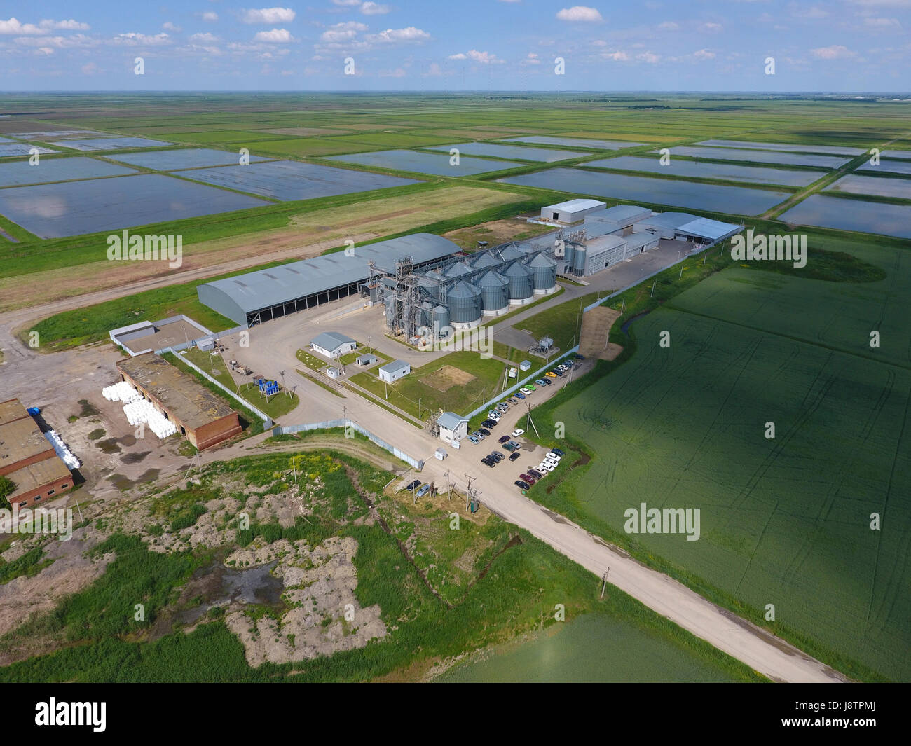 Grain terminal. Plant for the drying and storage of grain. Rice plant ...