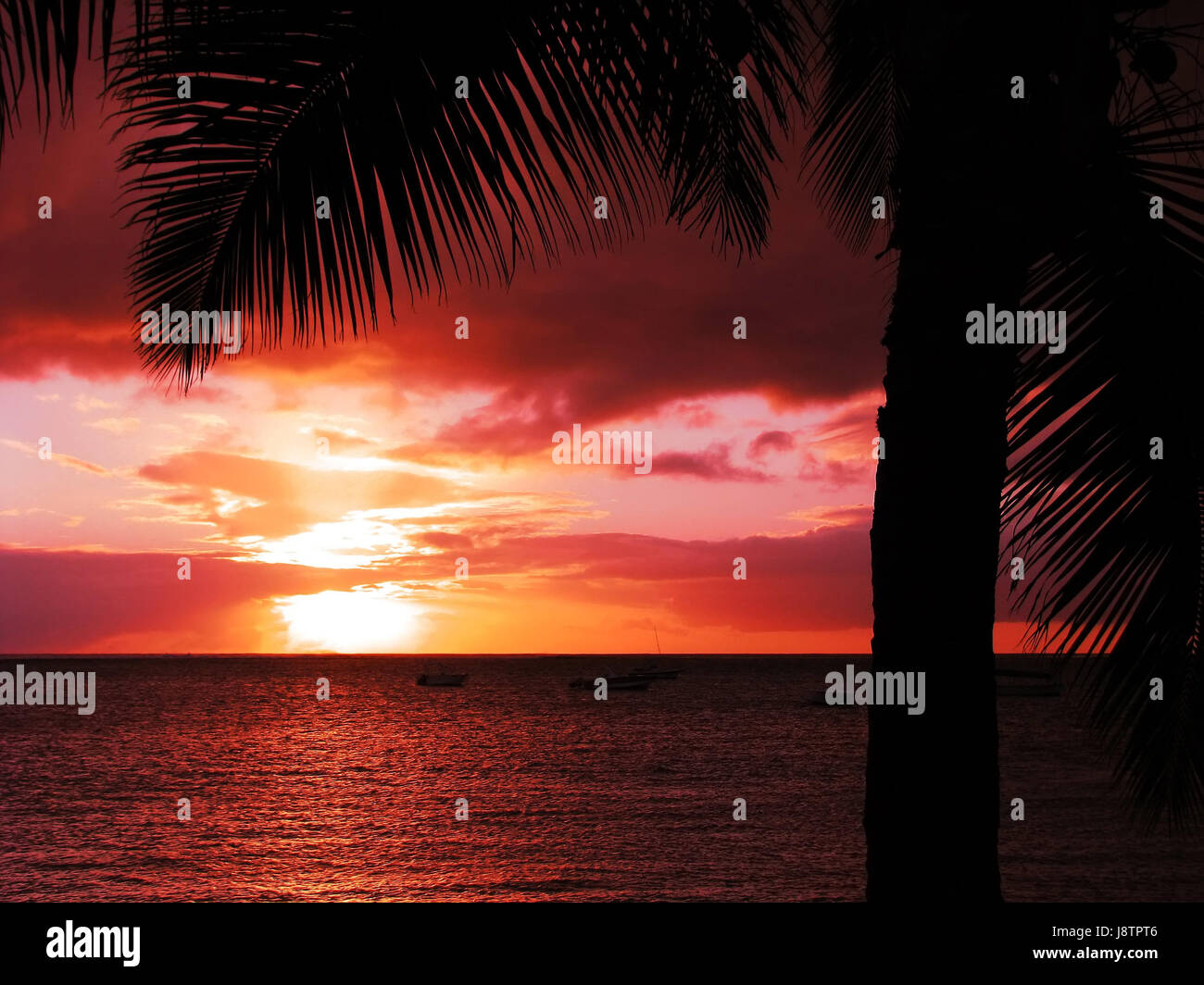 sunset, beach, seaside, the beach, seashore, sunrise, sunshine, dusk ...