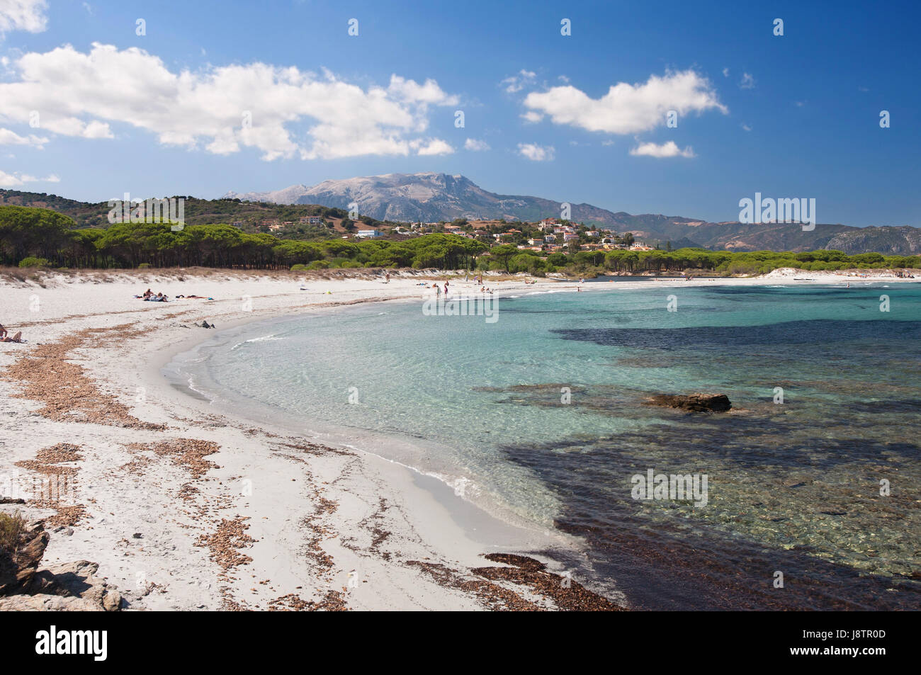 beach, seaside, the beach, seashore, summer, summerly, water ...