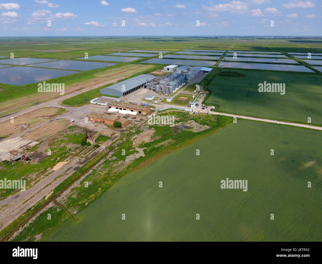 Grain terminal. Plant for the drying and storage of grain. Rice plant ...