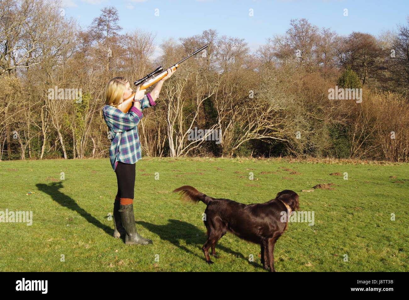 Hunter field rifle arm hi-res stock photography and images - Alamy