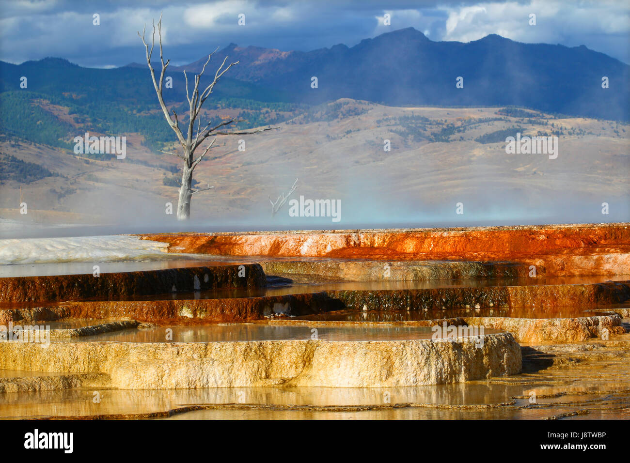 Jumping water feature hi-res stock photography and images - Alamy