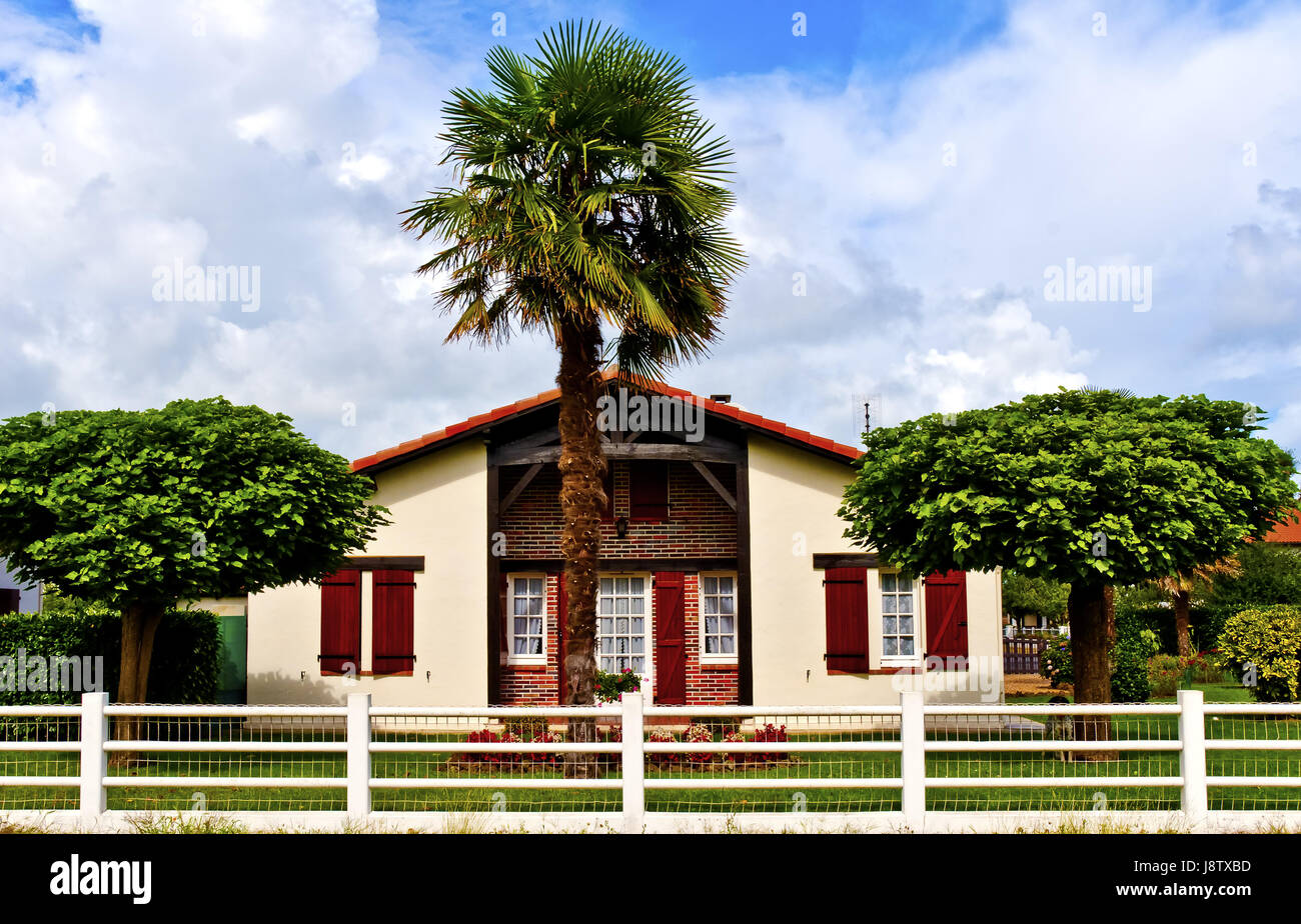 house, building, tree, trees, window, porthole, dormer window, pane ...