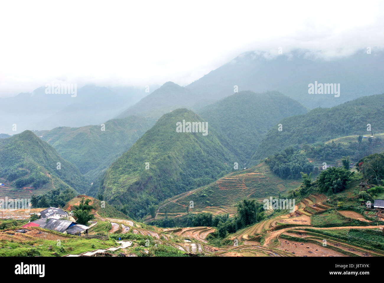 landscape, scenery, countryside, nature, travel, culture, tree, holiday ...