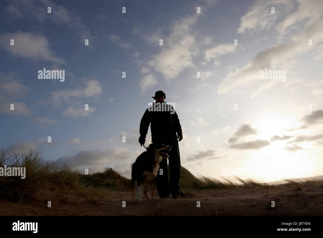 animal, pet, male, masculine, dog, owner, man, horizontal, standing ...