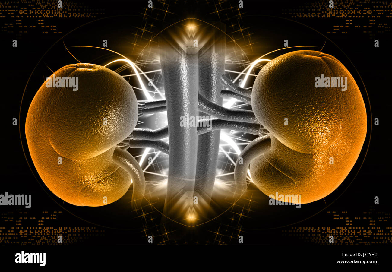 object, education, health, medicinally, medical, graphics, colour ...