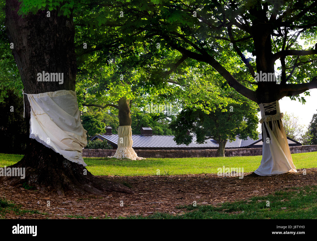Trees are decorated with an art form of dresses from VCU fashion design ...