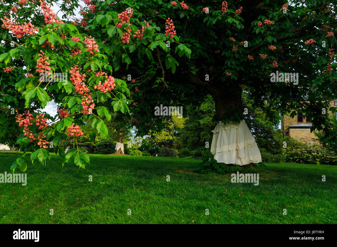 Trees are decorated with an art form of dresses from VCU fashion design ...