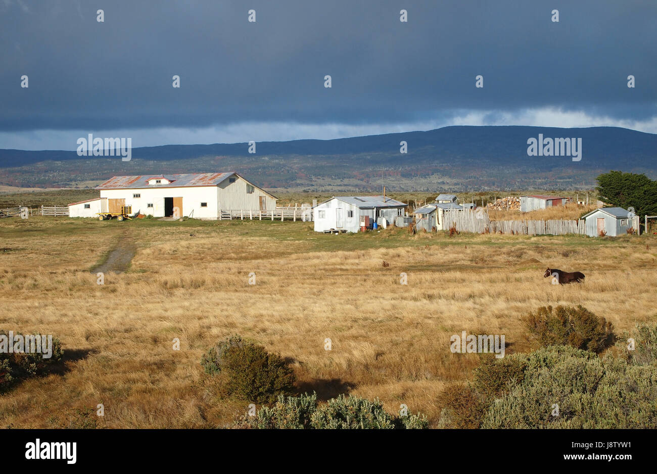 horse, chile, farm, storm, gale, horse, chile, farm, storm, meadow ...