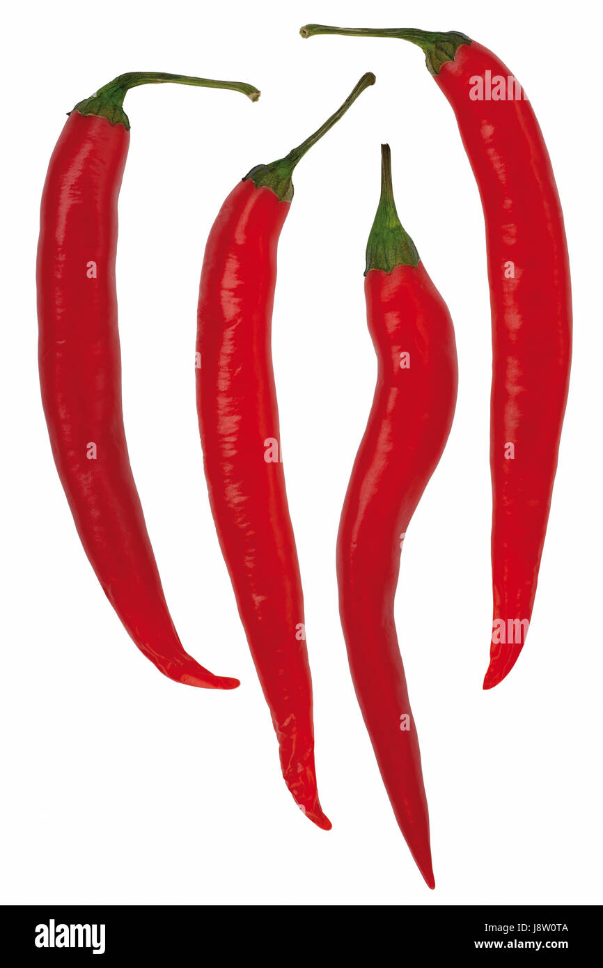 pepper, hot, vegetable, flavor, chilli, chili, red, food, aliment ...